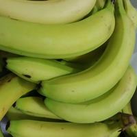 Jual Pisang Sunpride Terdekat - Harga Murah & Grosir Mei 2024