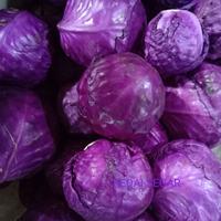 Jual Kol Ungu Terlengkap - Harga Terbaru Februari 2024 & Cicilan 0%