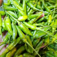 Jual Cabe Rawit Hijau 1Kg Terdekat - Harga Murah & Grosir Februari 2024