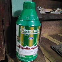 Jual Herbisida Supremo Terlengkap & Terbaik - Harga Murah Mei 2024