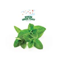 Jual Daun Mint Segar Terdekat - Harga Murah & Grosir Januari 2023