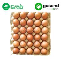 Jual Telor 1 Kg Terdekat - Harga Murah & Grosir Juni 2025
