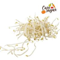 Jual Tauge Terdekat - Harga Murah & Grosir Agustus 2025