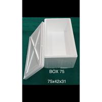 Jual Styrofoam 75 Terlengkap - Daftar Harga Juni 2024 & Cicilan 0%