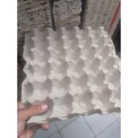 Jual Tray Telur Karton Murah & Terbaik - Harga Terbaru Juni 2024