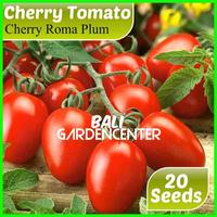Jual Tomat Cherry Terdekat - Harga Murah & Grosir April 2025