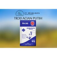 Jual Tr30 Acian Putih Terbaik - Harga Murah Mei 2024 & Cicil 0%