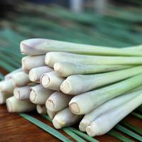 Jual Sereh Segar Terdekat - Harga Murah & Grosir Juni 2025