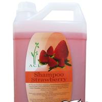 Jual Shampoo 5 Liter Terlengkap & Terbaik - Harga Murah Juni 2024