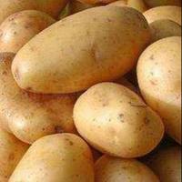 Jual Kentang 1Kg Terdekat - Harga Murah & Grosir Oktober 2025