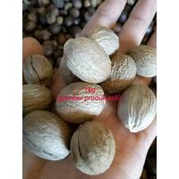 Biji Pala Harga Termurah & Grosir - Pilihan Terlengkap