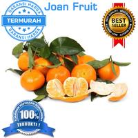Jual Jeruk 1 Dus Murah - Harga Terbaru 2025