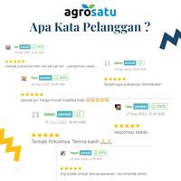 Jual Alat Gunting Telinga Babi - Tang Pig Ear Notcher - V-Shape - Kab ...