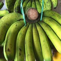 Jual Pisang Ambon Lumut per 1 sisir - Buah Segar - Kota Tangerang ...