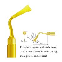 Jual Dental Piezo Surgery Tips for Sinus Lift Bur Implant Bone Cutting ...