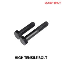 Jual Baja 8.8 Baut M10X190 / Baut 10X190 / M10 X 190 / 10 X 190 Grade 8 ...