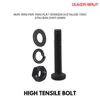 Jual Baja 8.8 Baut M10X190 / Baut 10X190 / M10 X 190 / 10 X 190 Grade 8 ...