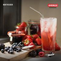 Jual Andros Chunky fruit Jam Puree 1Kg - Potongan buah utk Minuman ...