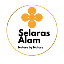 Jual RUMPUT PAITAN / RUMPUT GAJAH BIASA - Kota Medan - SELARAS ALAM 07 ...