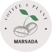 Jual Green Bean/ Biji Kopi Luwak Liar Arabica Premium - Kota Medan ...