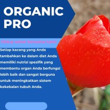 Toko ORGANIC PRO Online - Produk Lengkap & Harga Terbaik | Tokopedia