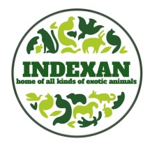Toko INDEXAN Online - Produk Lengkap & Harga Terbaik | Tokopedia