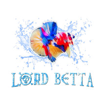 Toko LORD BETTA Online - Produk Lengkap & Harga Terbaik | Tokopedia