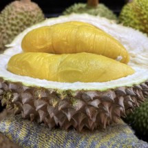 Jual Anggur muscat | shine muscat | anggur manis | muscat jumbo - 1 ...