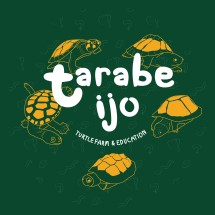 Toko Tarabe Ijo Online - Produk Lengkap & Harga Terbaik | Tokopedia