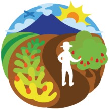 Talasi - Produk Resmi & Terlengkap | Tokopedia