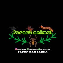 Toko Forest Animal Online - Produk Lengkap & Harga Terbaik | Tokopedia
