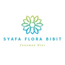 Jual Bibit tanaman anturium mickey mouse warna bunga, pink, merah ...