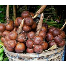 Jual Gula Aren Asli Bali atau Gula Dawan Asli Bali ( 1kg ) - Kota ...