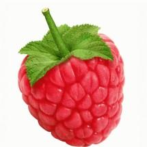 Toko Raspberry Indonesia Online - Produk Lengkap & Harga Terbaik ...