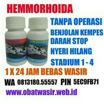 Jual OBAT WASIR AMBEIN BERDARAH TOTAL - Kota Depok - 1 x 24 JAM BEBAS ...