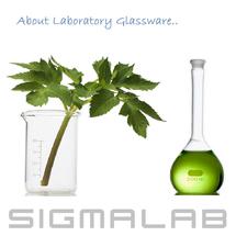 Jual Buret Schellbach Class A 10 ml - 50 ml SUPERTEK - Glass 25 ml ...