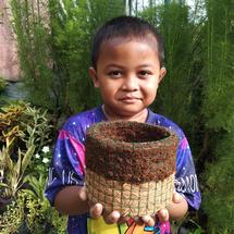 Jual Pakis papan media tanam anggrek tempel - Kab. Kebumen - GERAI ...