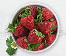Toko jualan strawberry fresh Online - Produk Lengkap & Harga Terbaik ...