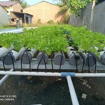 Jual probiotik boster sel multi 1 liter - Kota Medan - Talitakum ...