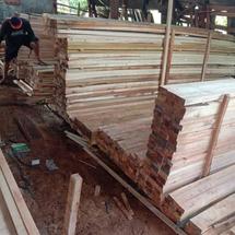 Jual kayu dolken puspa / medang diameter 8-10 panjang 4m - Kab. Bogor ...