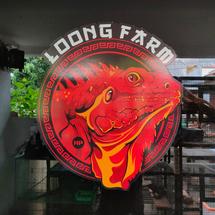Jual Patung Replika Horned lizard - Jakarta Barat - Loong Farm | Tokopedia