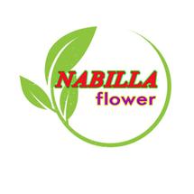 Jual bibit tanaman anggrek dendrobium bunga bantimurung dewasa murah ...