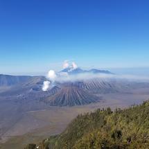 Jual EM-201GD Resettable Emergency Door Release ( Green ) - Jakarta ...