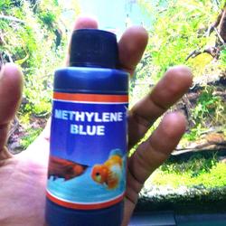 Jual METHYLENE BLUE INDICATOR (AR) - Kota Tangerang Selatan - SMARTLAB ...