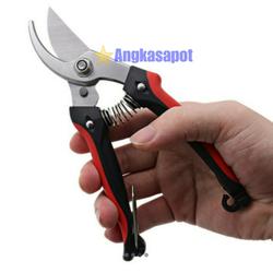 Jual Gunting Dahan Ranting Pohon Buah Bercabang Tebal Gunting Tanaman ...