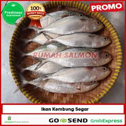Jual Ikan Kembung Segar- Fresh 1 kg isi 8-10 ekor - Jakarta Utara ...