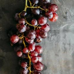 Jual Anggur Merah - 1 kg - Jakarta Timur - Buah Segar Online | Tokopedia