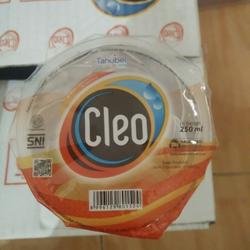 Jual Cleo Air Mineral Gelas 220ml 1 dus isi 40 cup - Kota Surabaya - Toko AMPM | Tokopedia