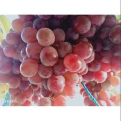 Jual Anggur Merah - 1 kg - Jakarta Timur - Buah Segar Online | Tokopedia