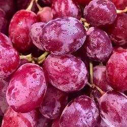 Jual Buah anggur merah 1 kg - 1/2 kg - Kota Bandung - Masak Sayur ...